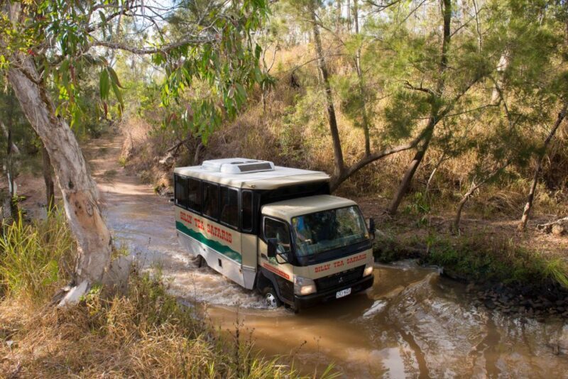 From Cairns: 3-Day Reef, Rainforest, and Outback Package - Who Will Love This Tour?