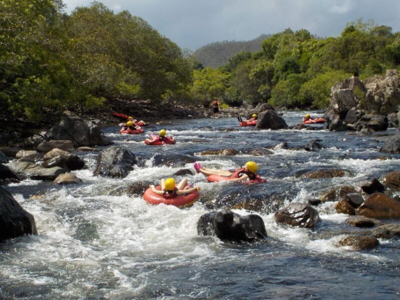 From Cairns and Northern Beaches: Rainforest River Tubing - The Sum Up