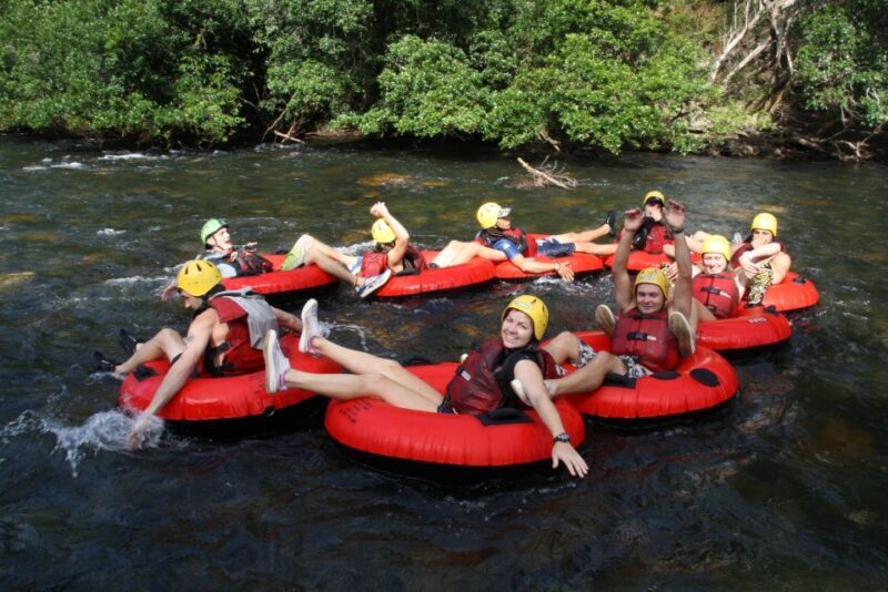 From Cairns and Northern Beaches: Rainforest River Tubing - The Experience: What to Expect