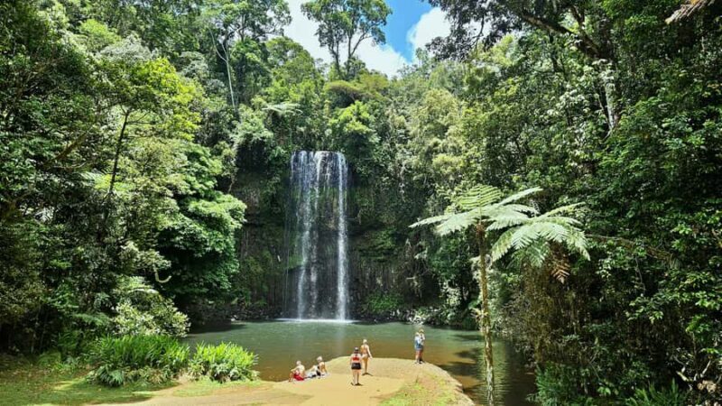 From Cairns: Atherton Tablelands and Paronella Park Day Trip - Key Points
