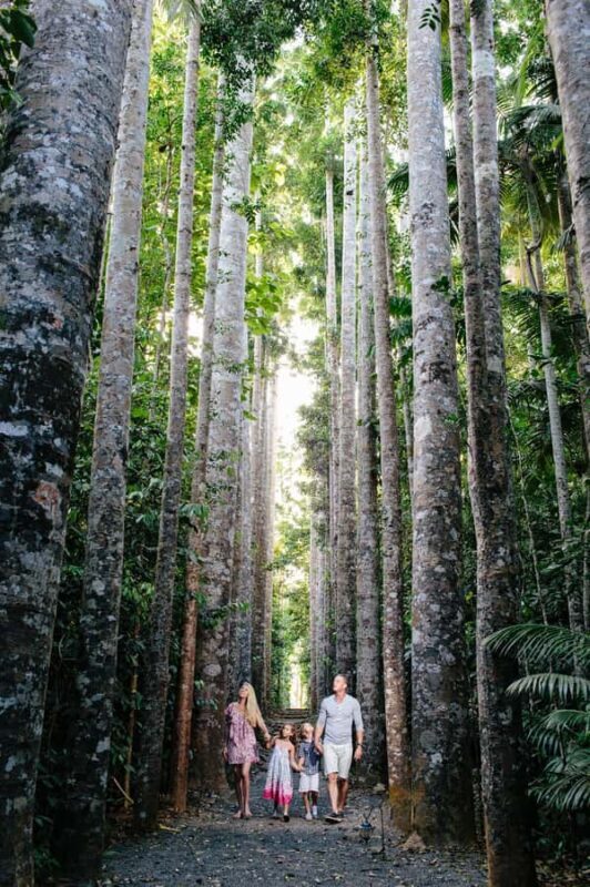 From Cairns: Atherton Tablelands and Paronella Park Day Trip - An In-Depth Look at the Tour Experience