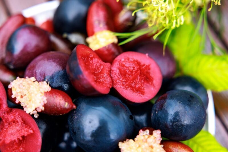 From Cairns: Atherton Tablelands Food and Wine Tasting Tour - Introduction: A Foodie Journey Through the Atherton Tablelands