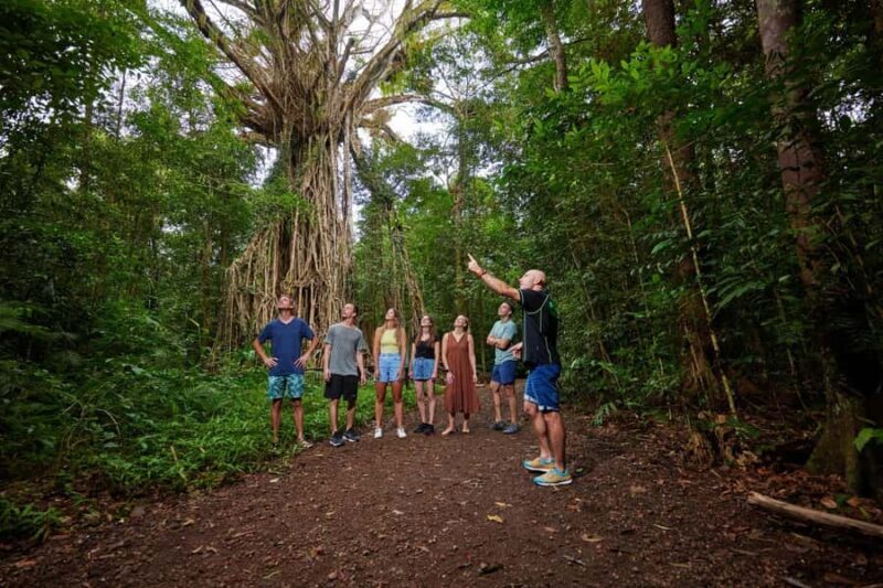 From Cairns: Barefoot Tablelands Waterfall & Rainforest Tour - Key Points
