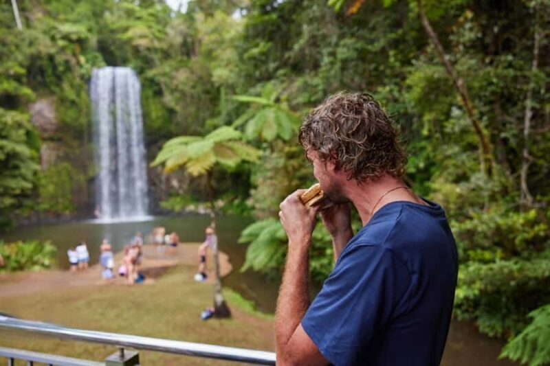 From Cairns: Barefoot Tablelands Waterfall & Rainforest Tour - Who Will Love This Tour?