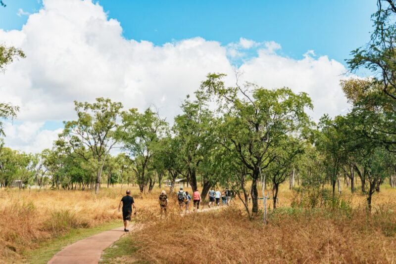 From Cairns: Chillagoe Caves and Outback Full-Day Tour - Discovering the Outback: What to Expect From the Start