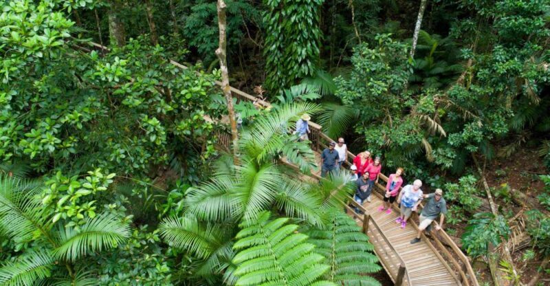 From Cairns: Daintree Rainforest & Cape Tribulation 4WD Tour - The Itinerary: What Makes Each Stop Special