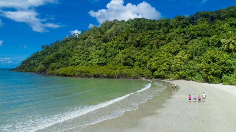 From Cairns: Daintree Rainforest & Cape Tribulation 4WD Tour - Transportation, Timing, and Group Size