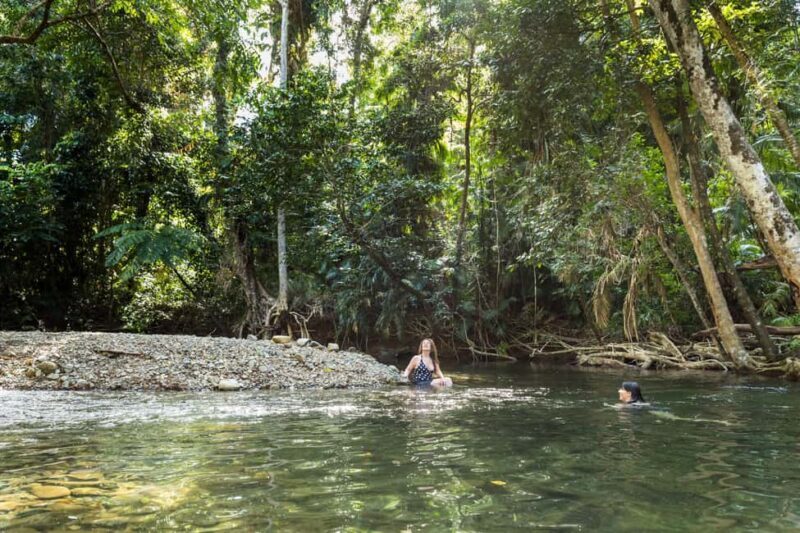 From Cairns: Daintree Rainforest & Cape Tribulation 4WD Tour - The Sum Up: Is This Tour Right for You?