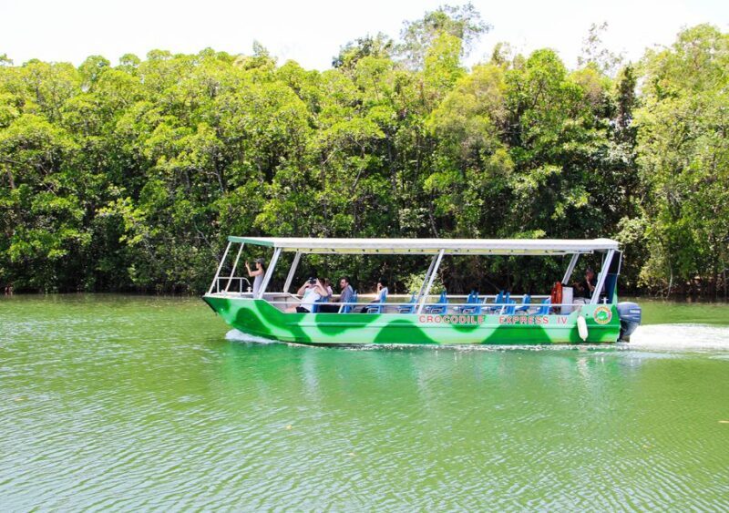 From Cairns: Daintree Wilderness & Cape Tribulation Bus Tour - Discovering the Magic of Daintree and Cape Tribulation