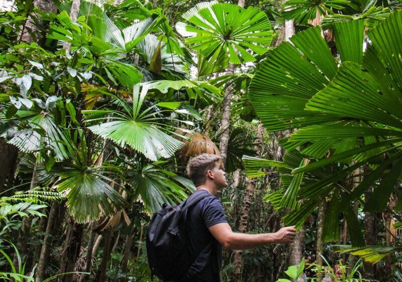 From Cairns: Daintree Wilderness & Cape Tribulation Bus Tour - Final Thoughts