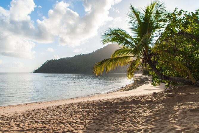 From Cairns: Dunk Island Day Tour - Who Should Consider This Tour?