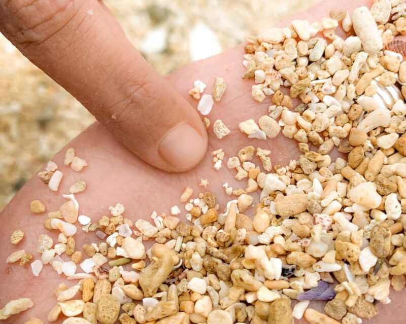 From Cairns: Frankland Island All-Inclusive Day Tour - The Sum Up