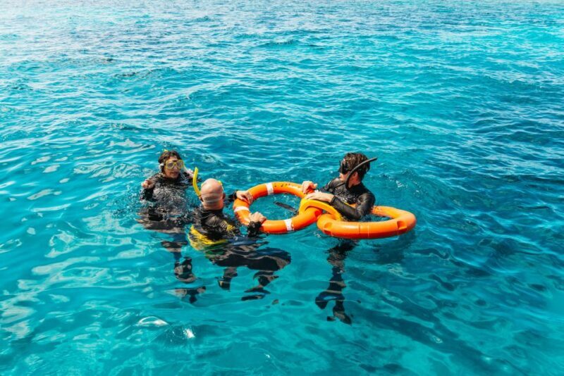 From Cairns: Great Barrier Reef Cruise by Premium Catamaran - A Closer Look at the Cruise Experience