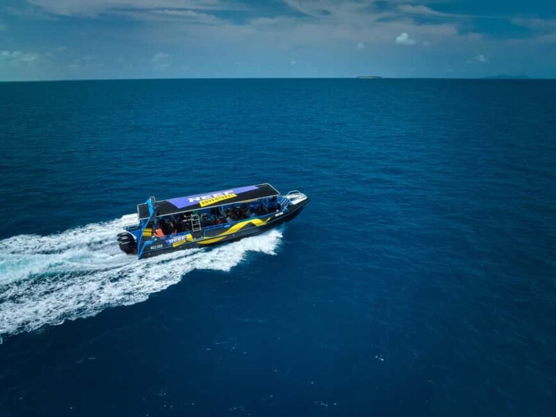 From Cairns: Great Barrier Reef Half-Day Snorkeling Tour - The Itinerary: How the Day Unfolds