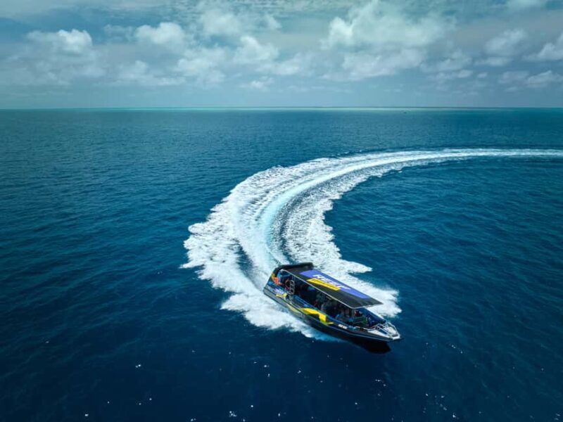 From Cairns: Great Barrier Reef Half-Day Snorkeling Tour - The Value Proposition