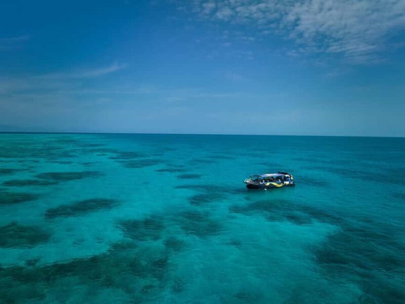 From Cairns: Great Barrier Reef Half-Day Snorkeling Tour - Who Should Consider This Tour?