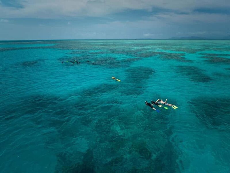 From Cairns: Great Barrier Reef Half-Day Snorkeling Tour - Final Thoughts