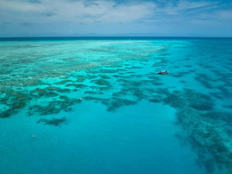 From Cairns: Great Barrier Reef Half-Day Snorkeling Tour - Ideal for:
