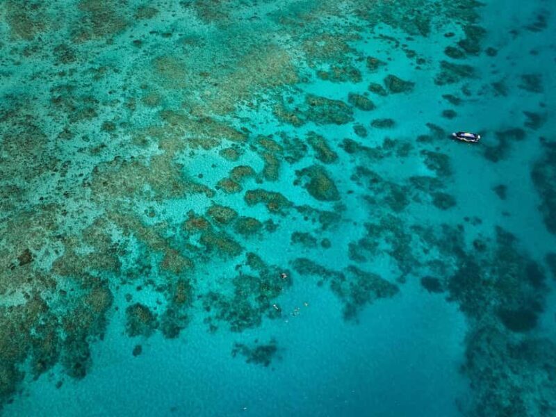 From Cairns: Great Barrier Reef Half-Day Snorkeling Tour - FAQ