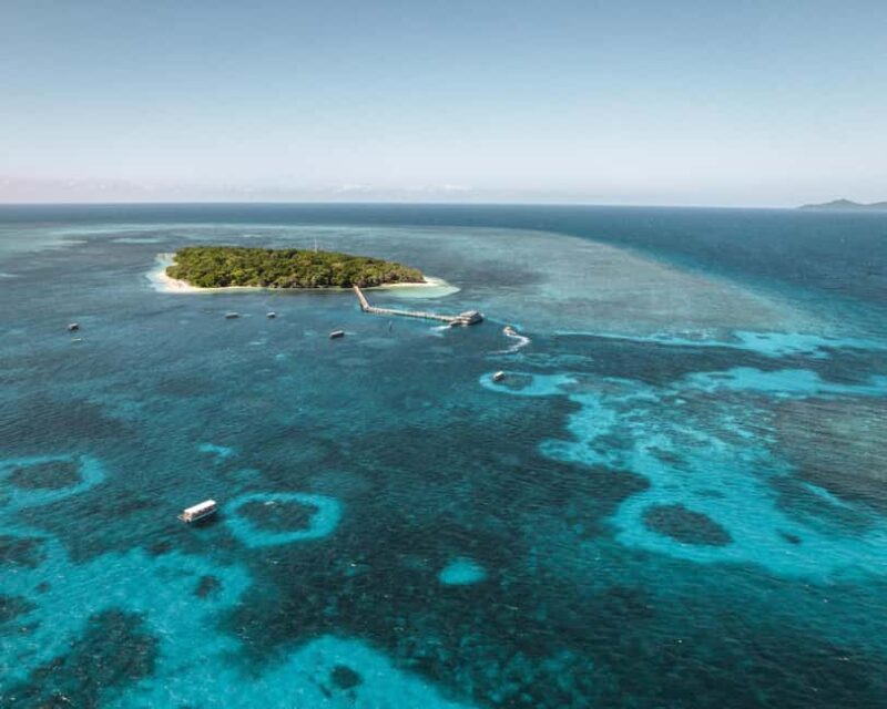 From Cairns: Half-Day Afternoon Cruise to Green Island - Experience Quality and Staff