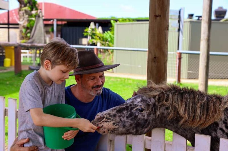 From Cairns: Kuranda Day Trip with Petting Zoo and Quad Ride - Who Will Love This Tour?