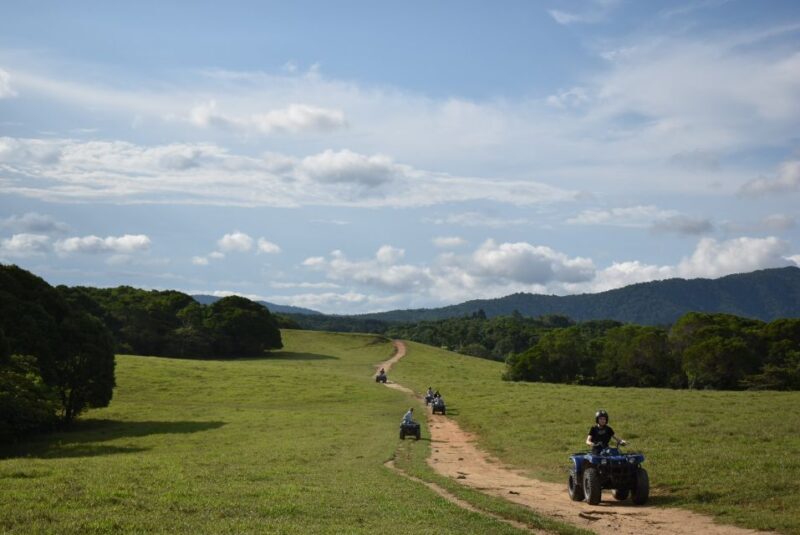 From Cairns: Kuranda Day Trip with Petting Zoo and Quad Ride - Key Points