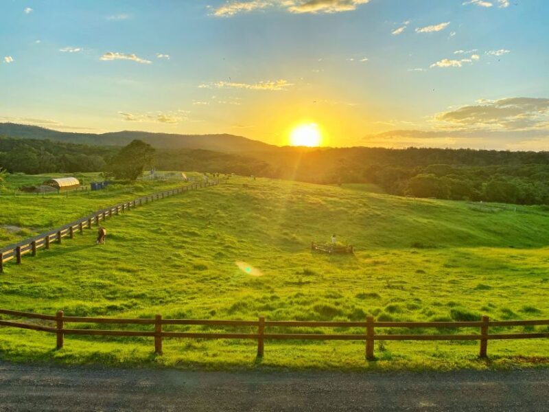 From Cairns: Kuranda Day Trip with Petting Zoo and Quad Ride - Exploring the Itinerary: What You Can Expect