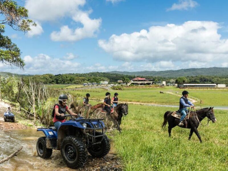 From Cairns: Kuranda Day Trip with Petting Zoo and Quad Ride - Final Thoughts