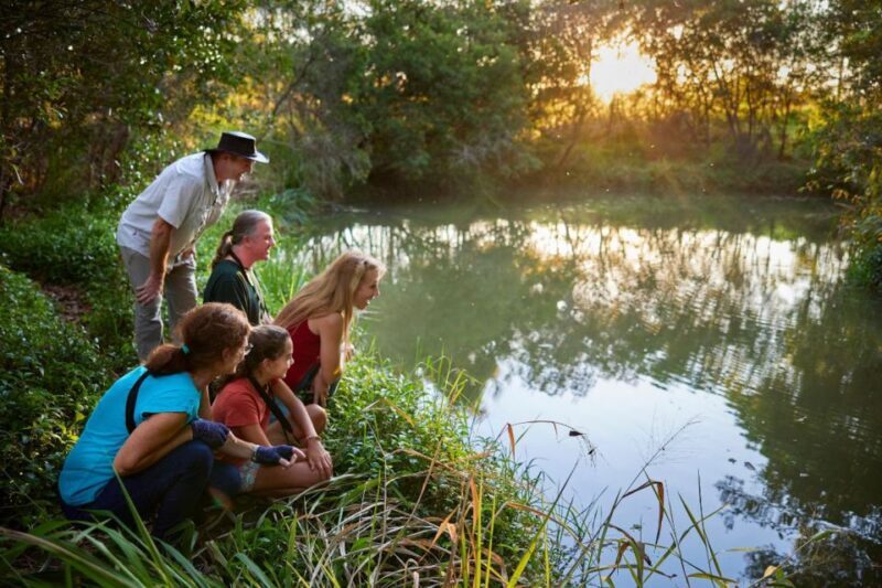 From Cairns: Rainforest & Nocturnal Wildlife Tour - The Sum Up