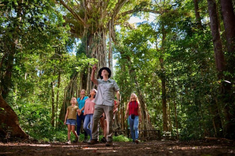 From Cairns: Rainforest & Nocturnal Wildlife Tour - FAQ