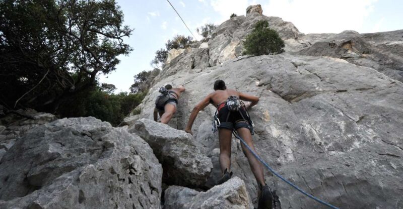 From Cala Gonone: Canyon Codula Fuili Climbing Tour - The Authentic Value of This Climbing Tour
