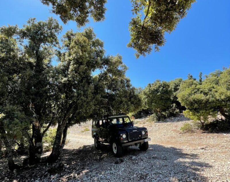 From Cala Gonone: Food, wine and craft tours in Dorgali - Authenticity and Reviews
