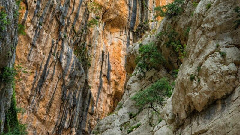 From Cala Gonone: Gorropu hiking with lunch - Frequently Asked Questions