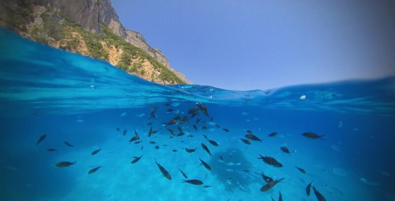 From Cala Gonone: Gulf of Orosei Speedboat Trip and Aperitif - Key Points