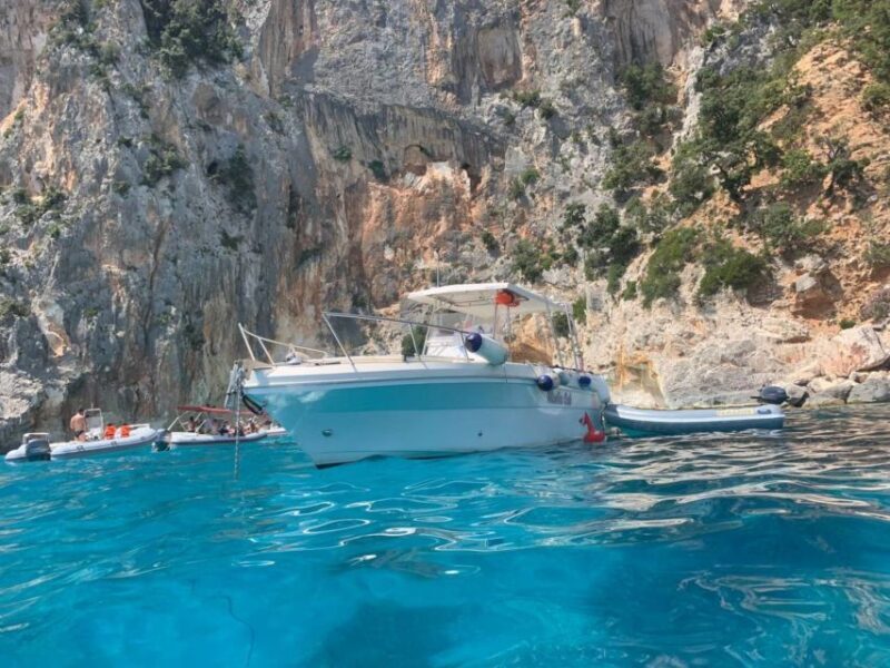 From Cala Gonone: Gulf of Orosei Speedboat Trip and Aperitif - Summary