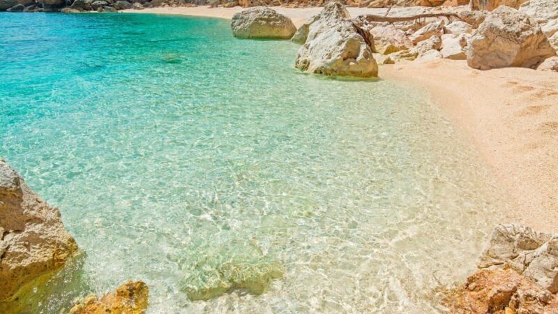 From Cala Gonone: motorboat trip in the Gulf of Orosei - The Experience in Context: Value and Authenticity