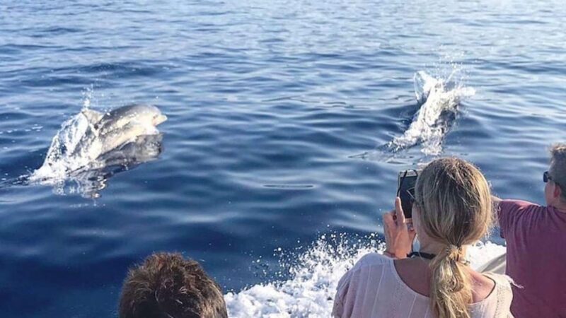 From Cala Gonone: naturalistic excursion on a RIB - The Itinerary: A Detailed Look