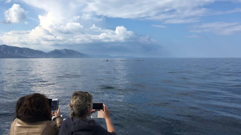 From Cala Gonone: naturalistic excursion on a RIB - FAQ