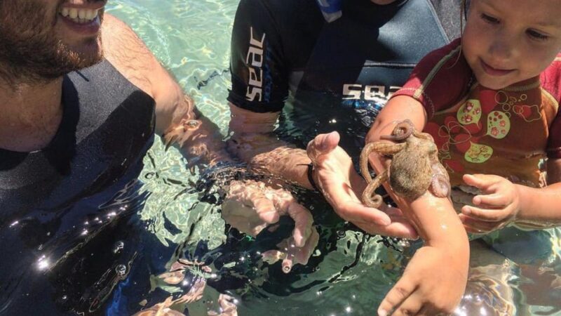 From Cala Gonone: snorkeling in the Orosei Gulf - What Makes This Tour Stand Out?