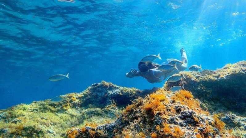 From Cala Gonone: snorkeling in the Orosei Gulf - Why Travelers Love This Experience