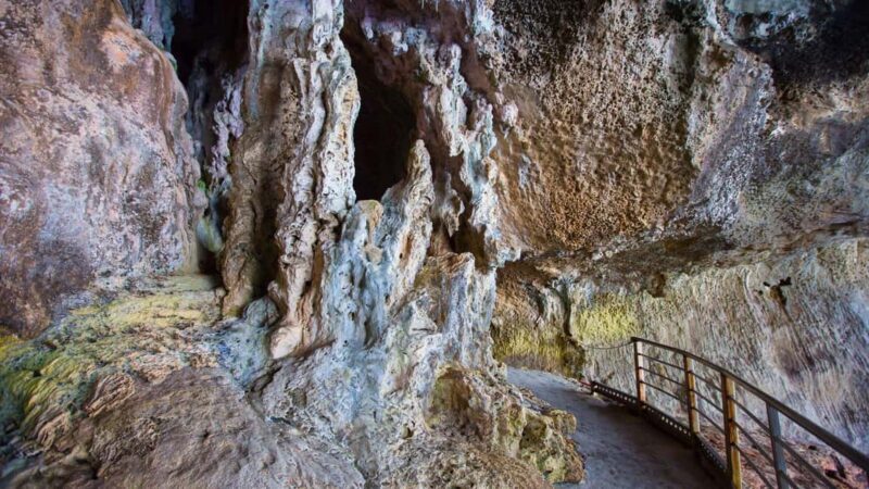 From Cala Gonone: transfer to the Bue Marino Caves - FAQs