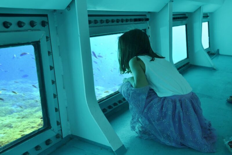 From Cala Millor: East Coast Glass-Bottom Boat Trip - How the Experience Feels in Practice