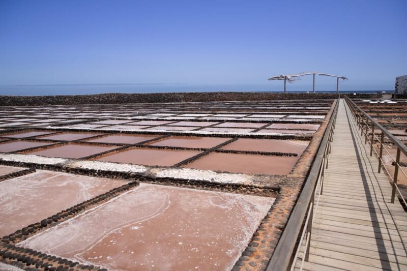 From Caleta de Fuste: Explore Rural Fuerteventura Tour - Introduction