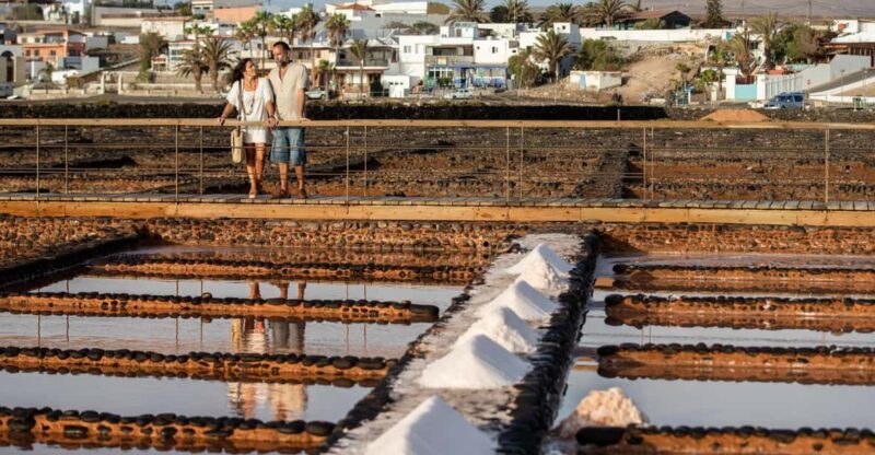 From Caleta de Fuste: Explore Rural Fuerteventura Tour - Key Points