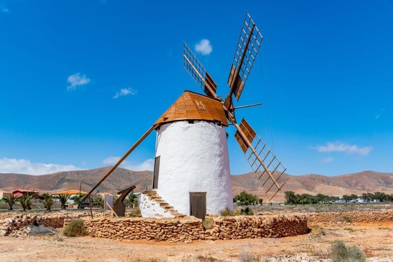 From Caleta de Fuste: Explore Rural Fuerteventura Tour - Pricing and Value