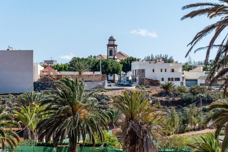 From Caleta de Fuste: Explore Rural Fuerteventura Tour - Who Would Love This Tour?
