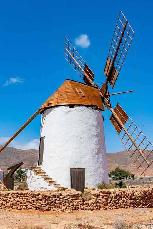 From Caleta de Fuste: Explore Rural Fuerteventura Tour - The Sum Up