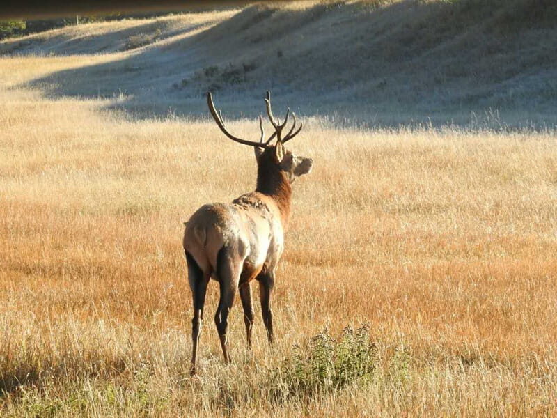From Calgary: Deep 1 Day Tour in Banff - FAQs