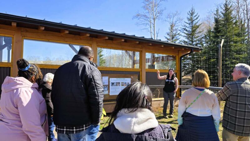From Calgary to Banff: Day Trip with Wolfdog Sanctuary Visit - A detailed look at what this trip offers