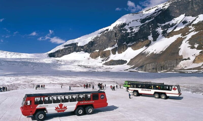 From CalgaryColumbia Icefield, Peyto & Bow Lakes Day Trip - Overview of the Tour: Nature’s Masterpieces in a Day